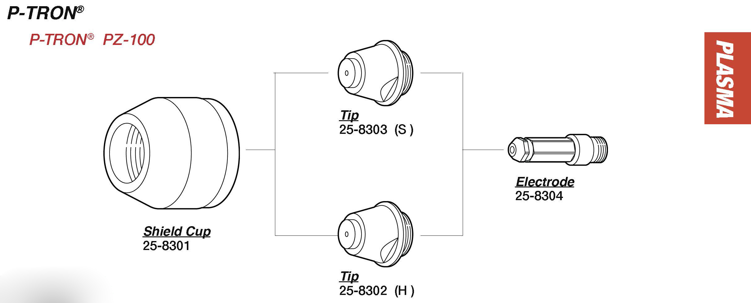 P-Tron – ATTC (ASIAN)